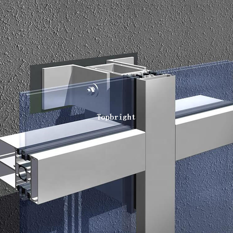 Commercial External Curtain Wall For Building Project Supply TP-CW ...